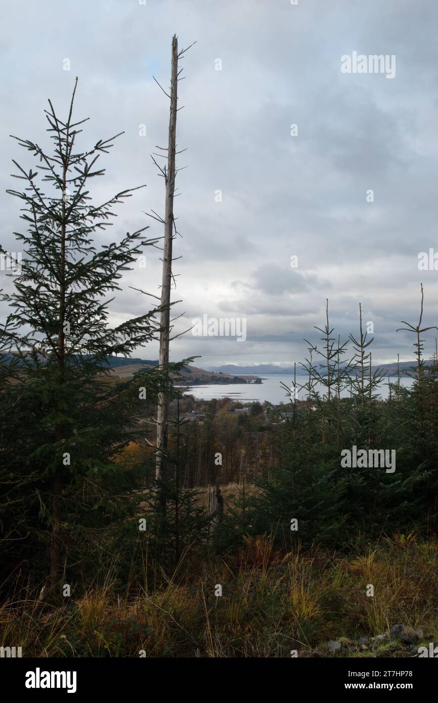 The Sound of Mull, from Salen, Isle of Mull, Scotland, UK Stock Photo ...