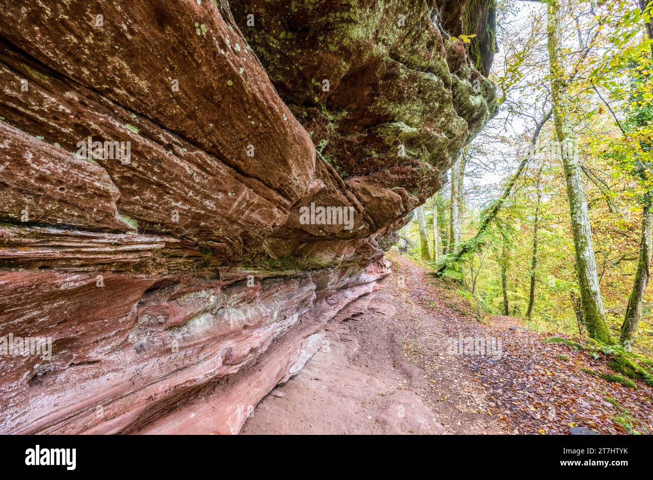 Falaise rose hi-res stock photography and images - Alamy