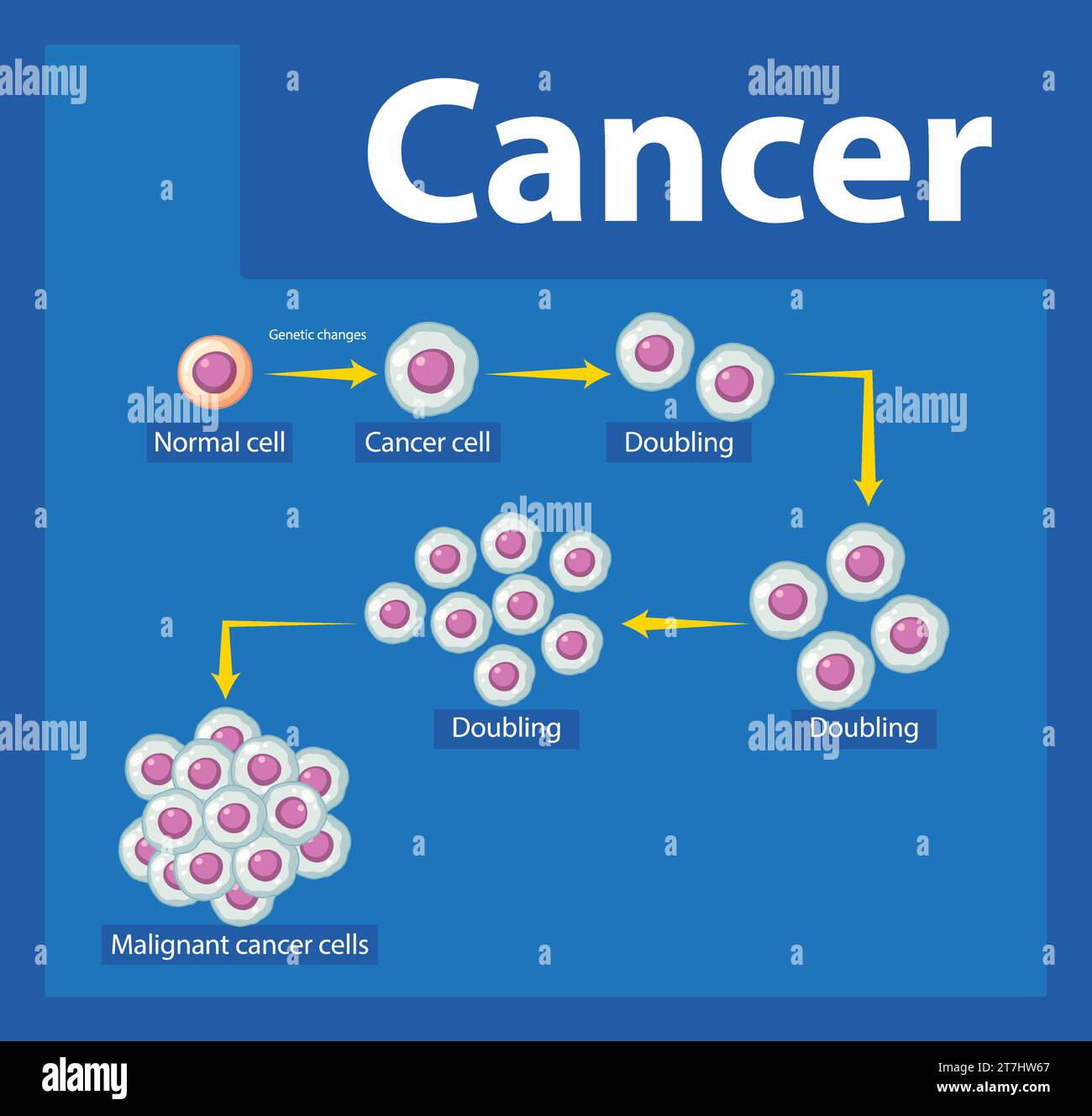 Illustrated infographic depicting the development and processing of ...