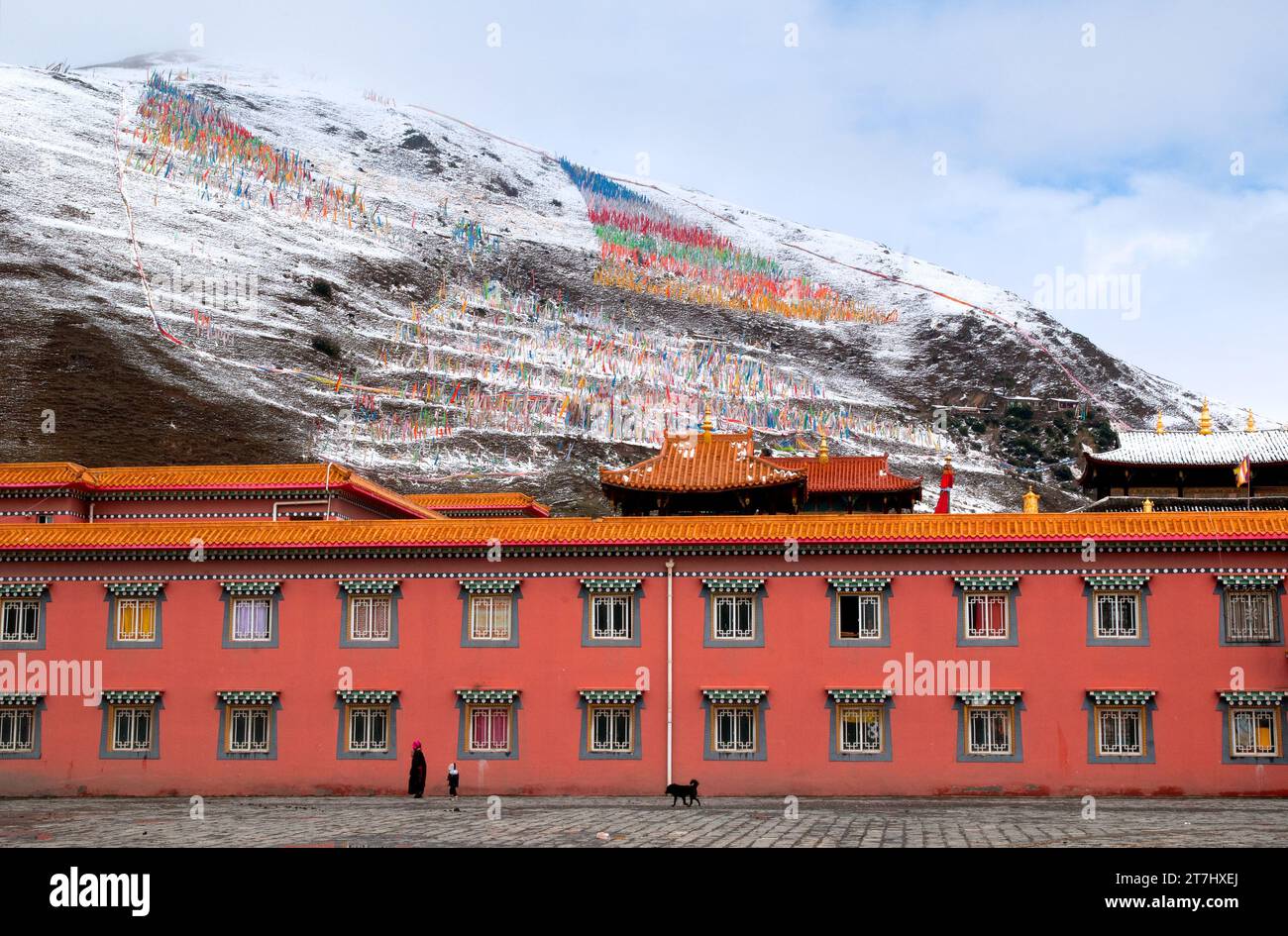 Beautiful tibetan temple hi-res stock photography and images - Alamy