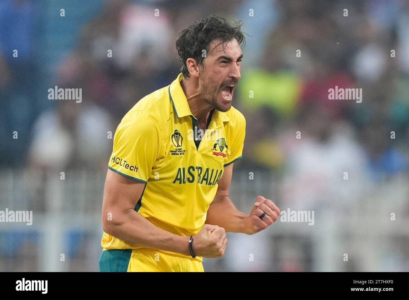 Australia's Mitchell Starc celebrate the wicket of South Africa's Aiden ...