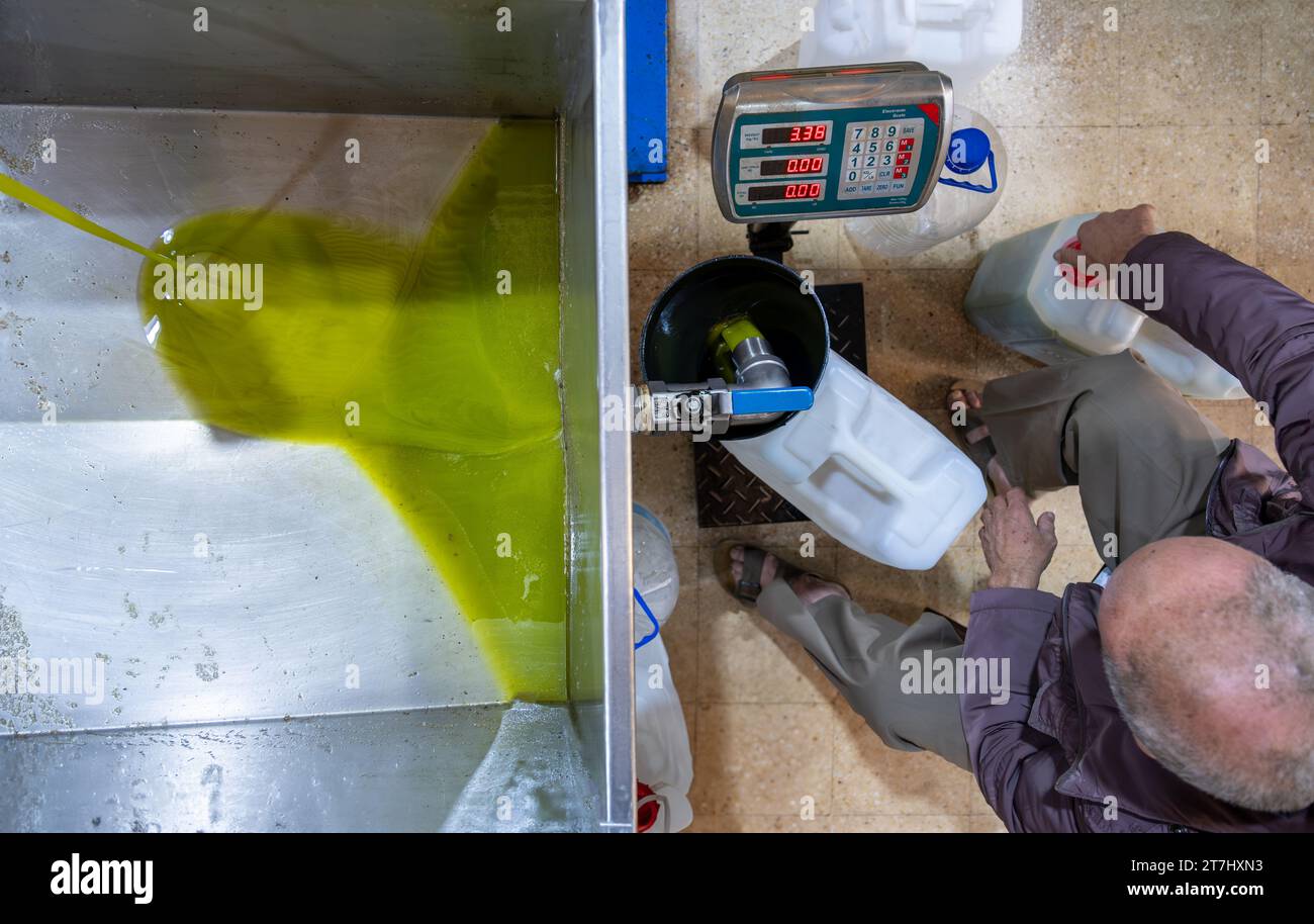 An old Muslim man is filling fresh olive oil into plastic gallons using ...