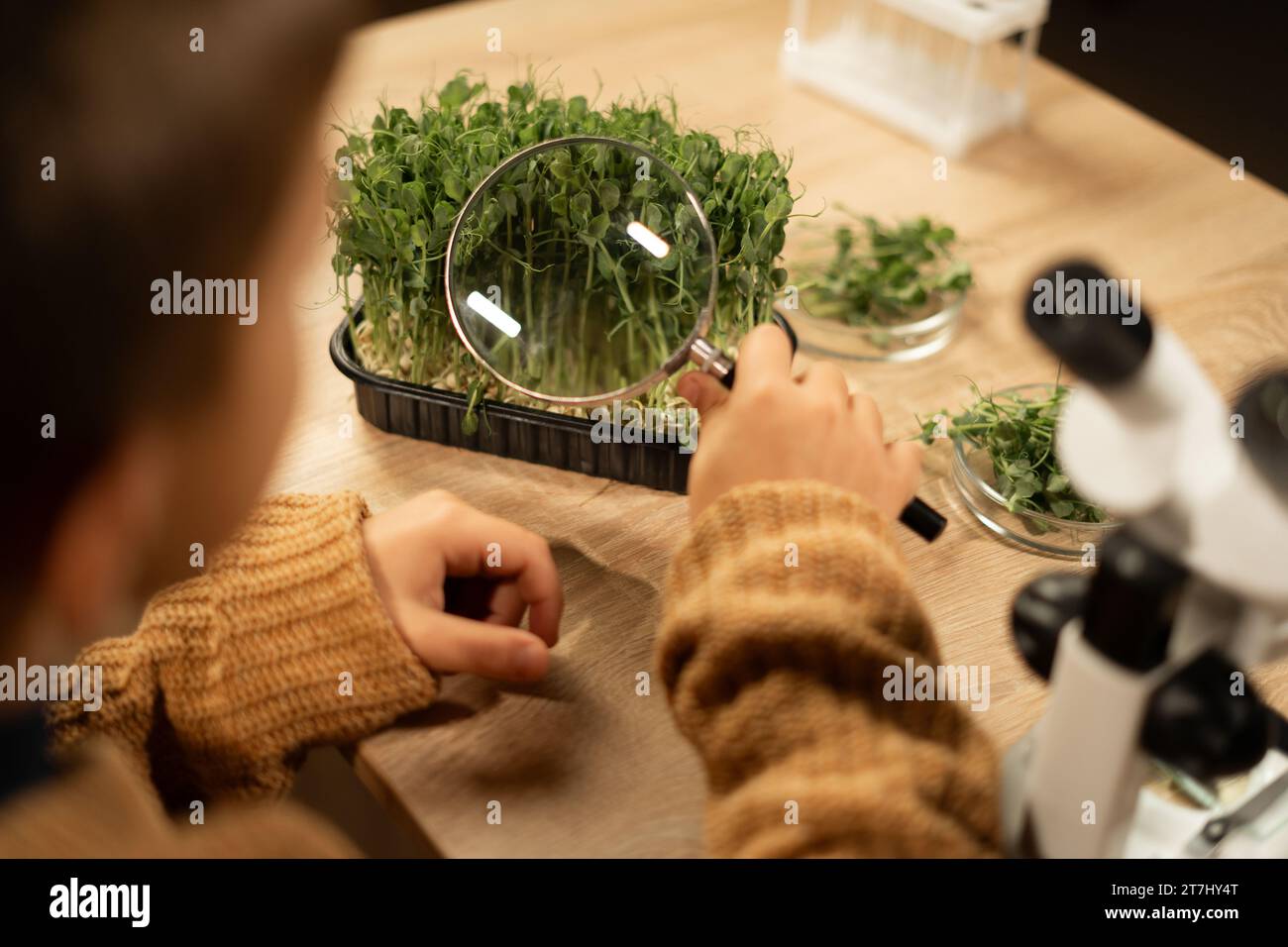 Child at home using microscope and magnifying glass studying plant at ...