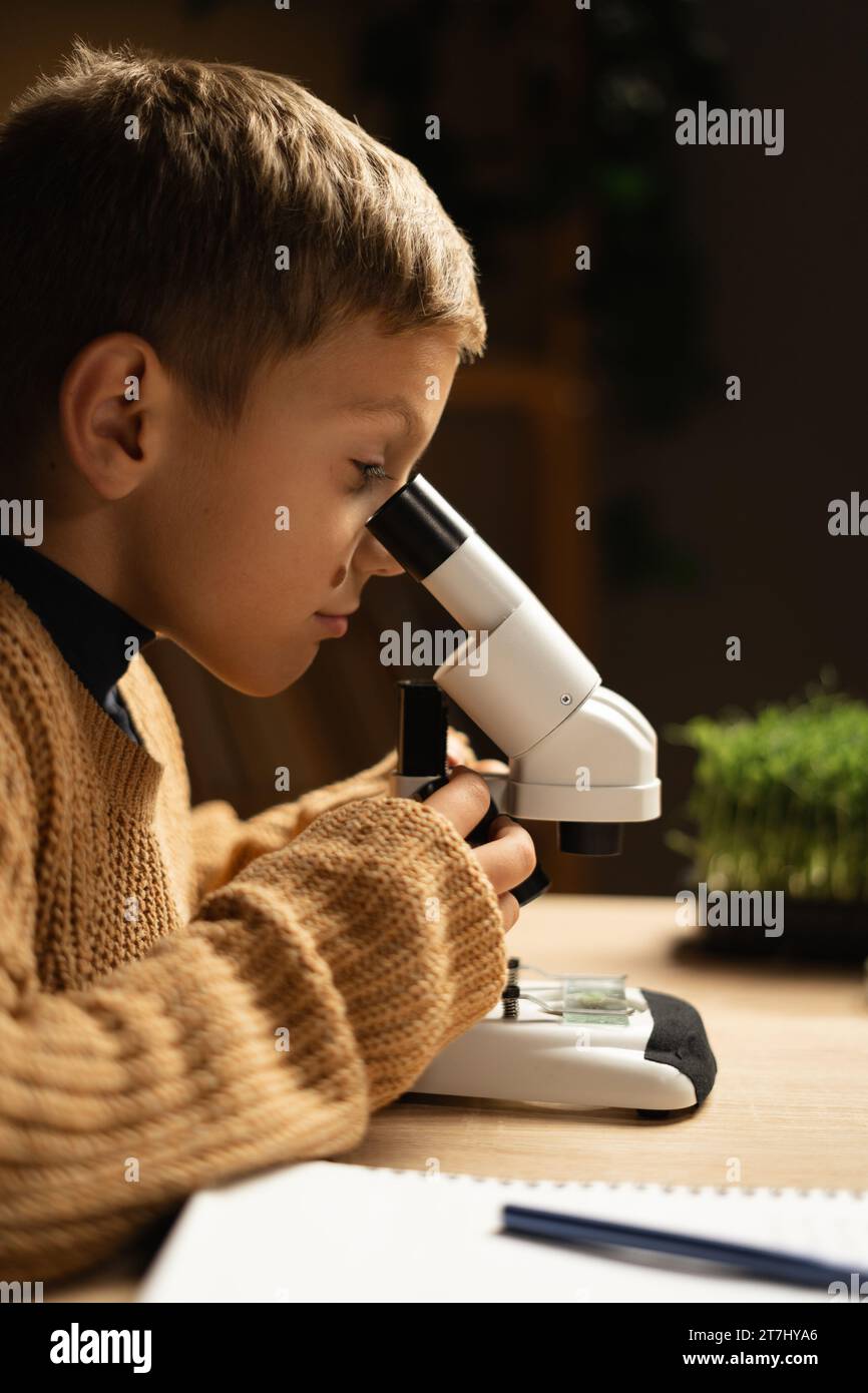 Schoolboy studying nature at home using a microscope while conducting ...