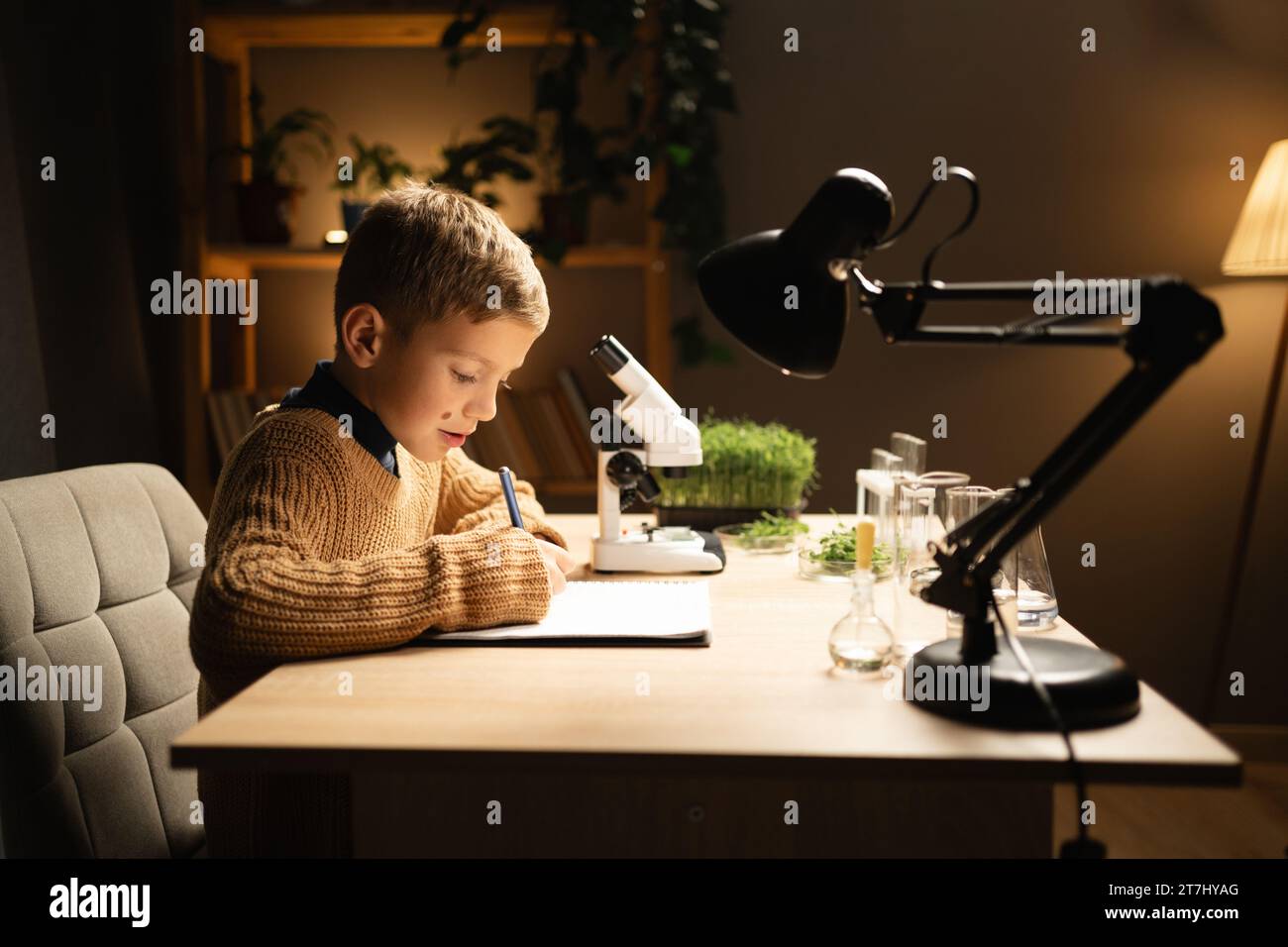 Adolescent pupil looking at sample under the microscope, writing ...
