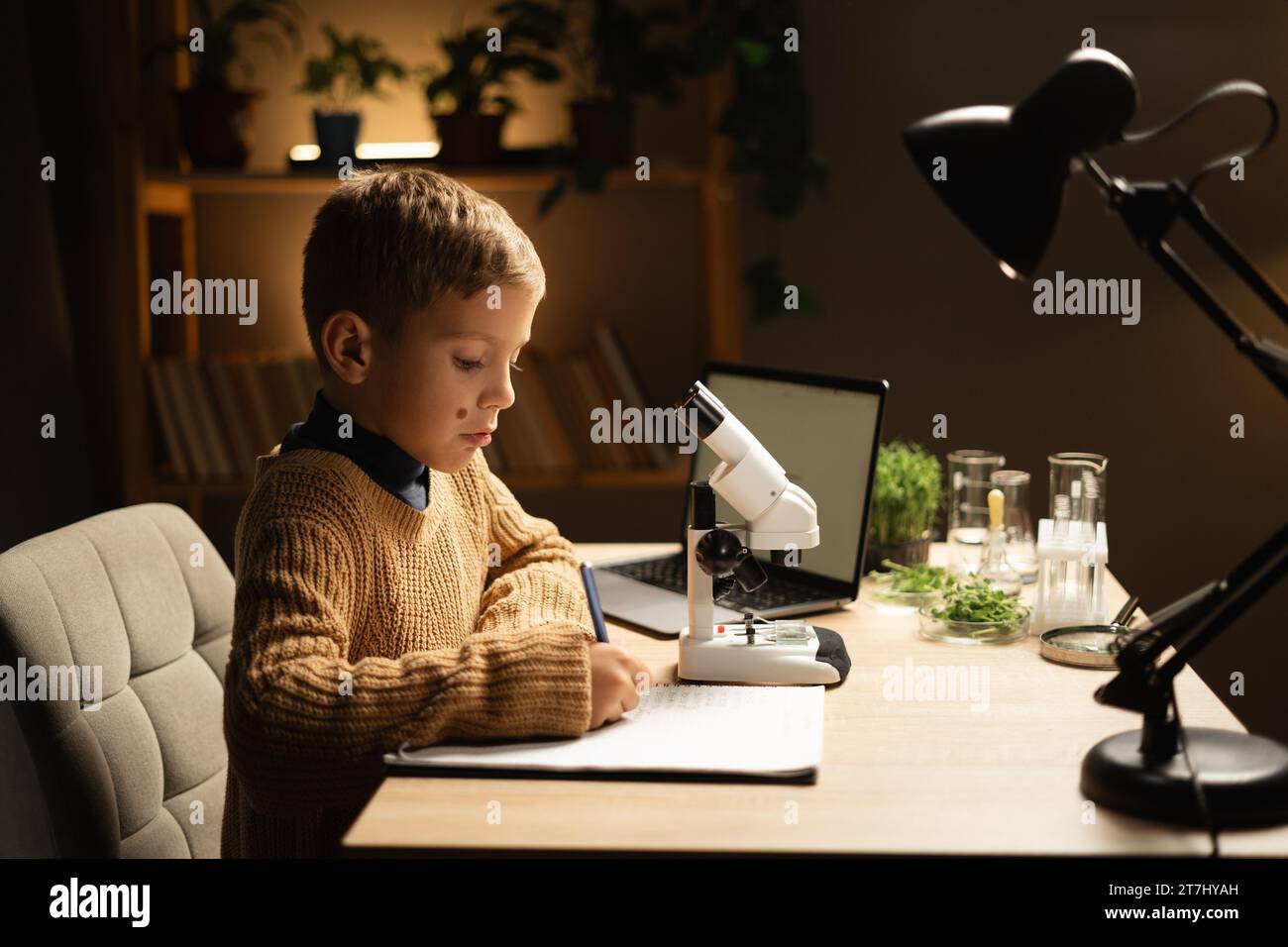 Children and science. Schoolboy uses microscope at home, preparing for ...