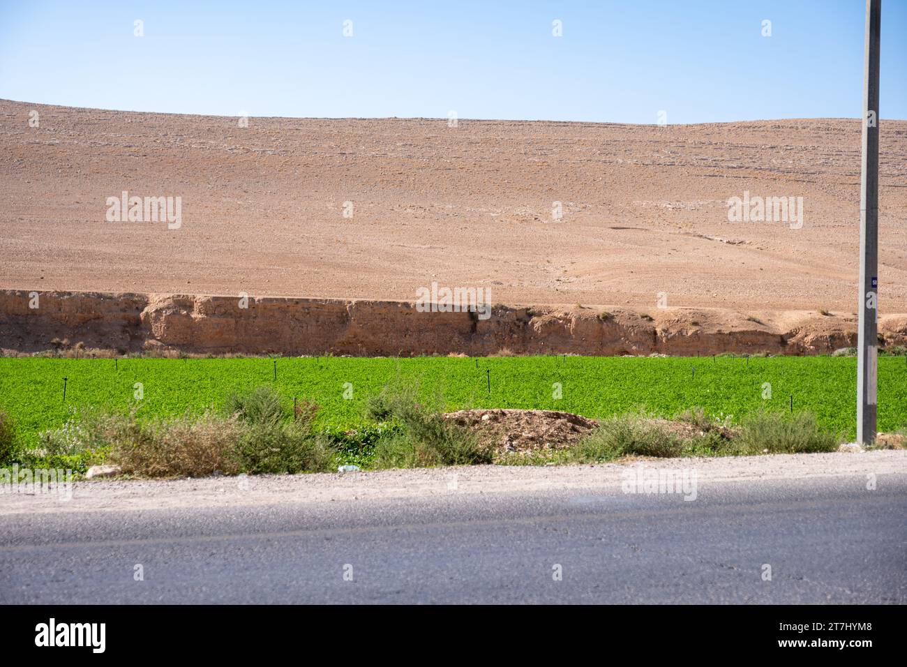 Effect on nature and increase desertification on agriculture due to ...