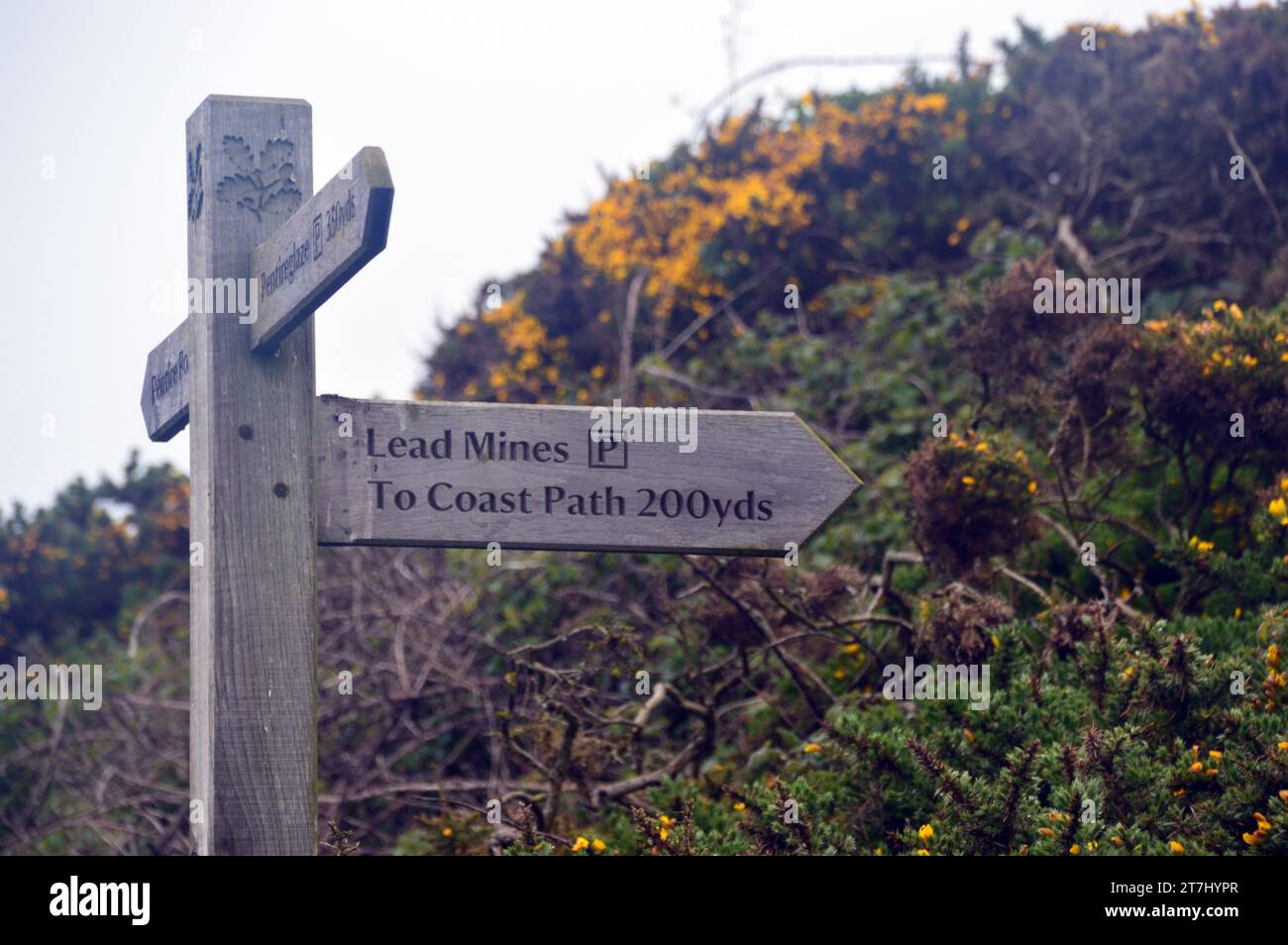 Wooden Signpost for the Coast Path to the Lead Mines from the Car Park ...