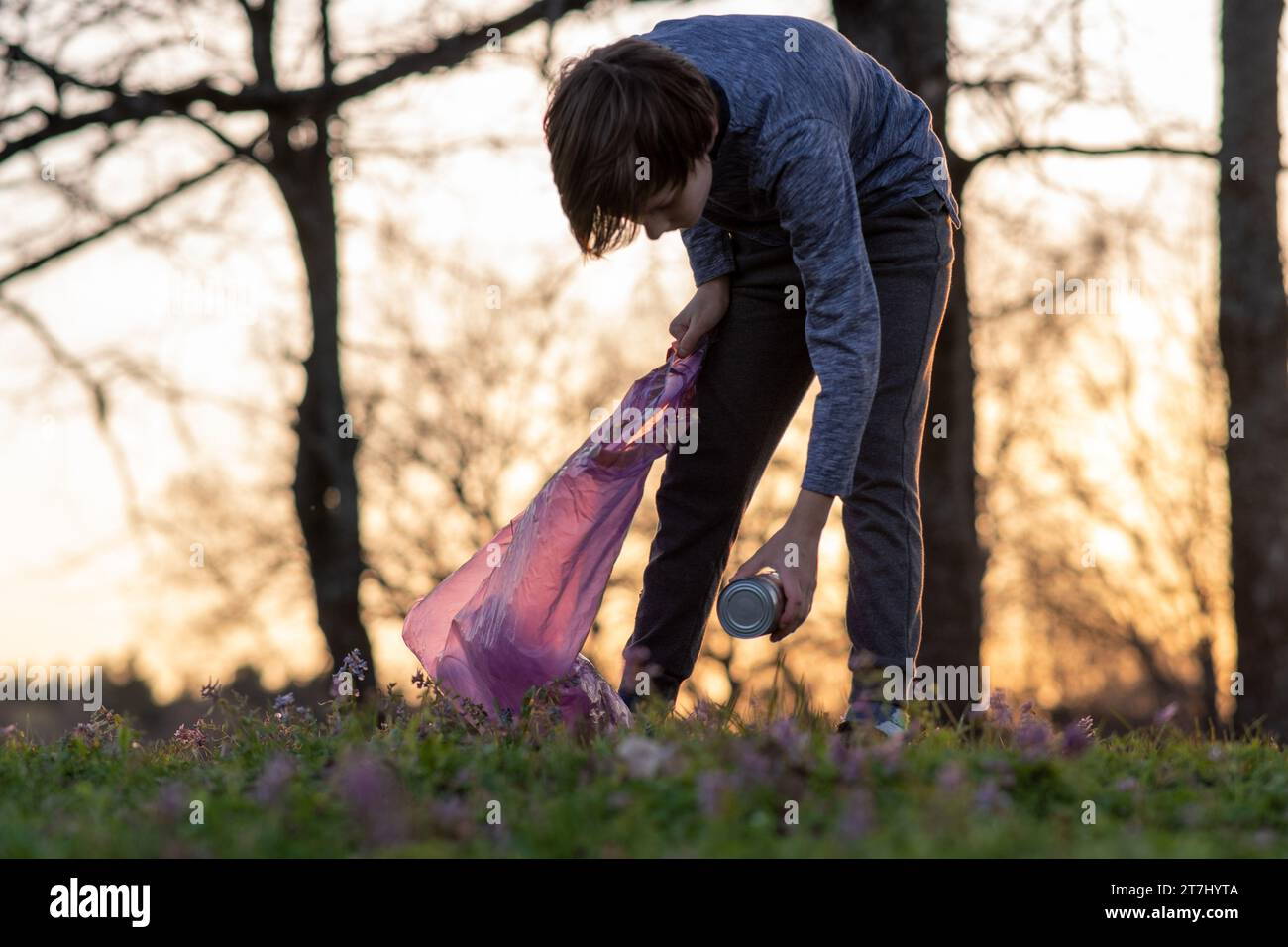 Teenage boy collects garbage in big pink bag in nature, on meadow on ...