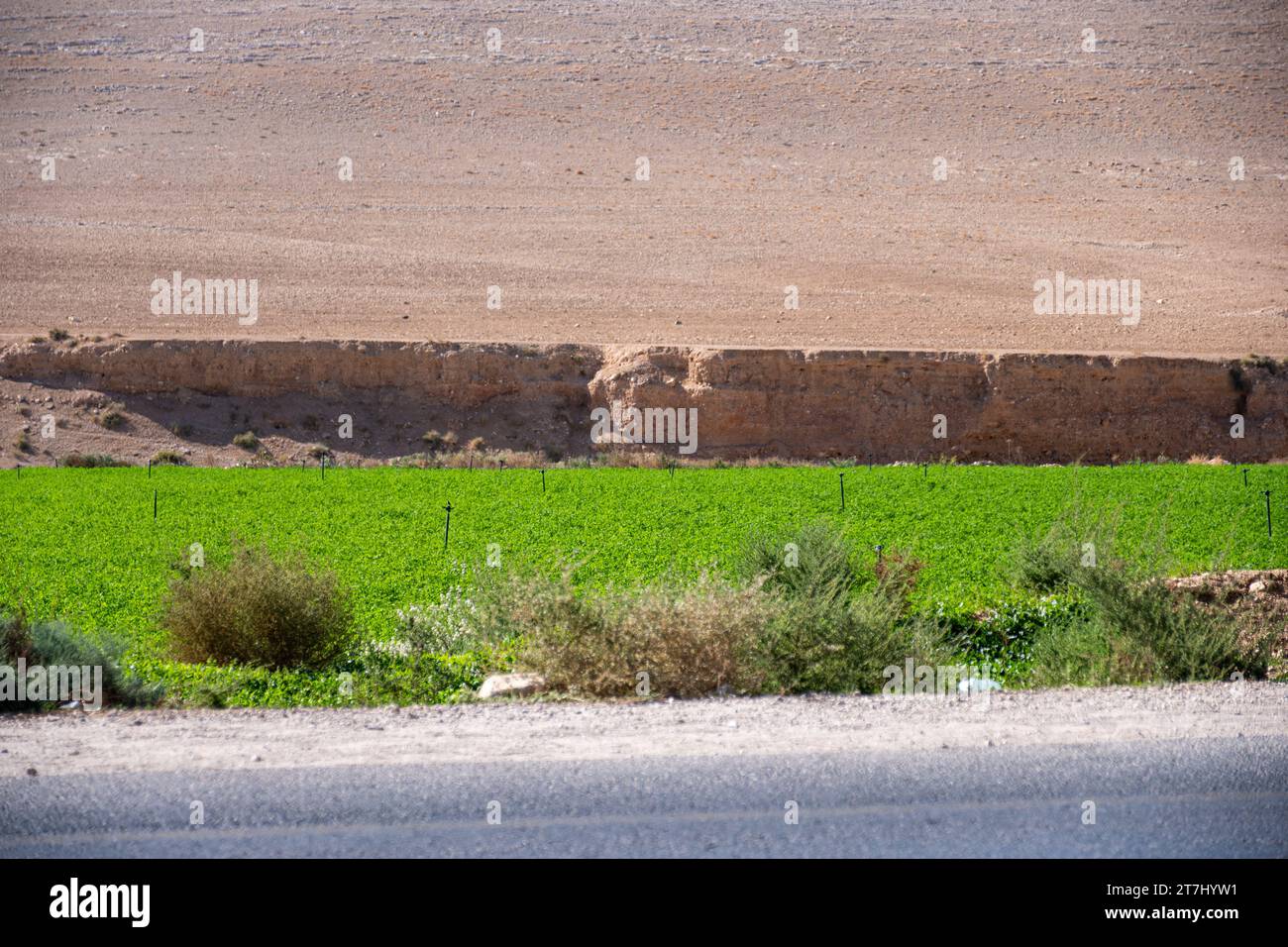 Effect on nature and increase desertification on agriculture due to ...