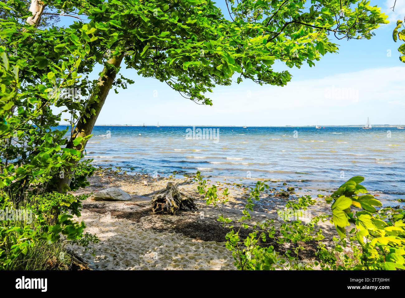 Landscape at Wendorf Beach near Wismar. View of the Baltic Sea Stock ...