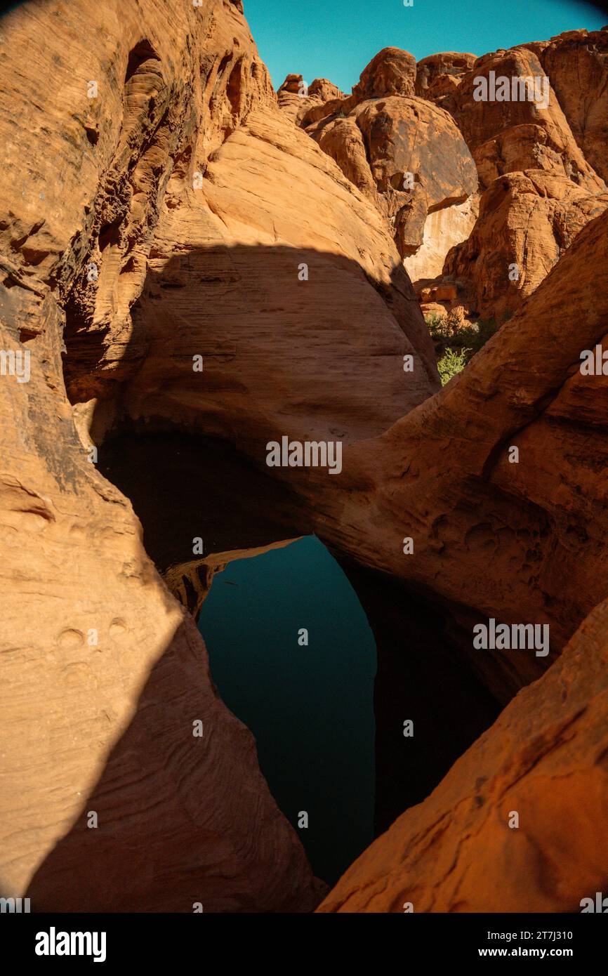 Mouse tank hi-res stock photography and images - Alamy