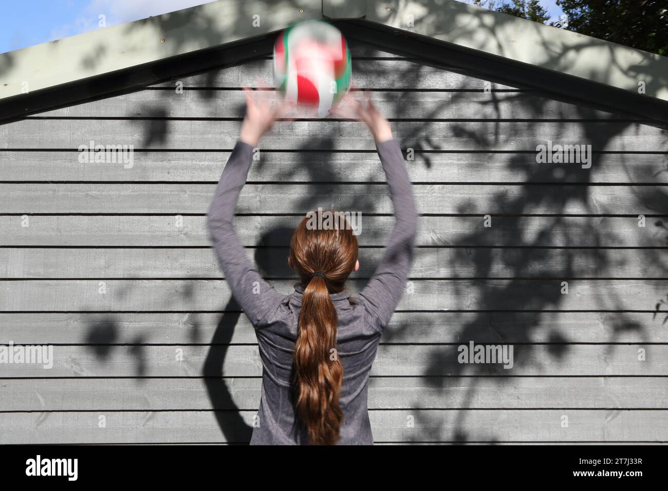 Teenage girl practises volleyball shots - sets the ball up with both ...