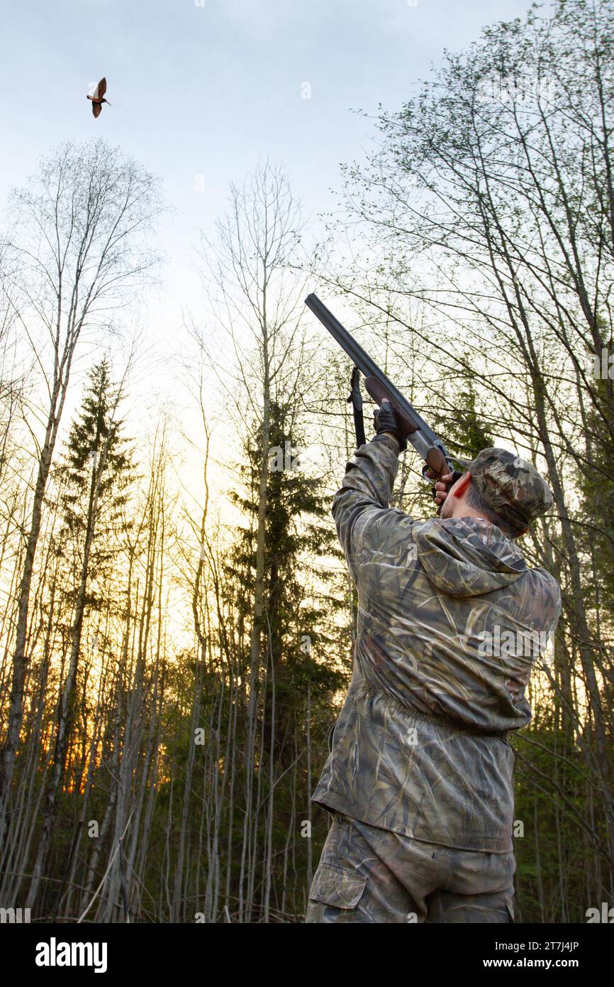 The hunter stands at dusk in a forest clearing and shoots a shotgun at ...