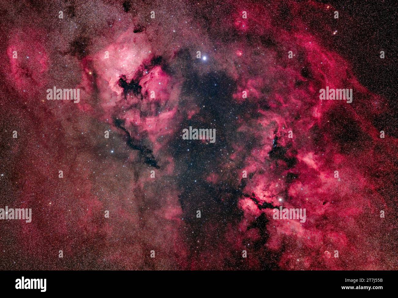 Cygnus arc hi-res stock photography and images - Alamy