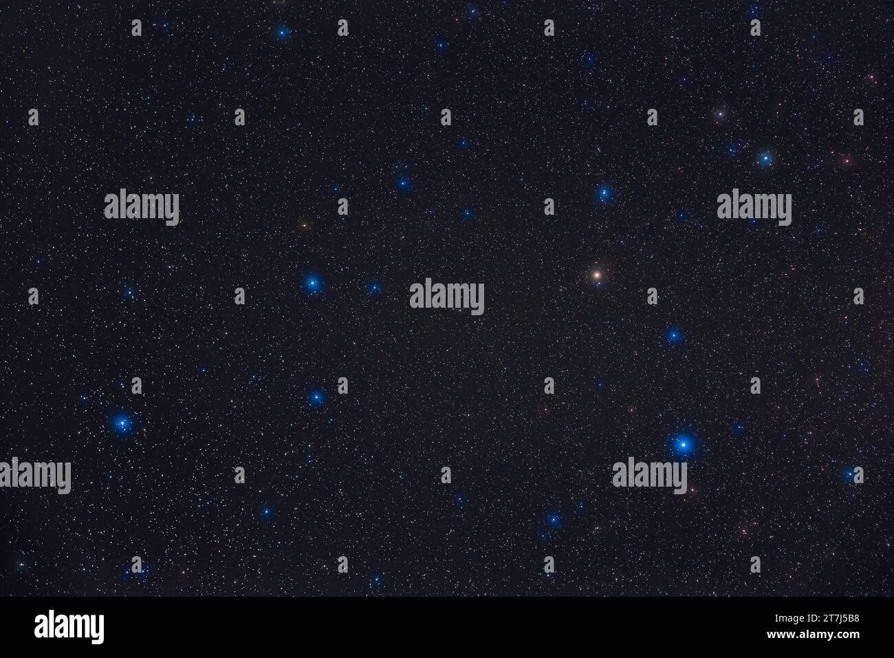 Regulus Black Constellation