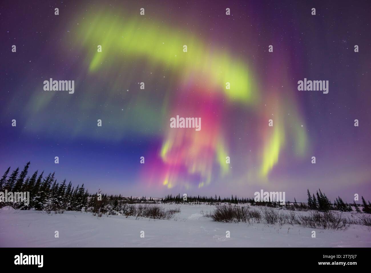 A colourful aurora in the deep blue of twilight on Febrary 26, 2023 on ...