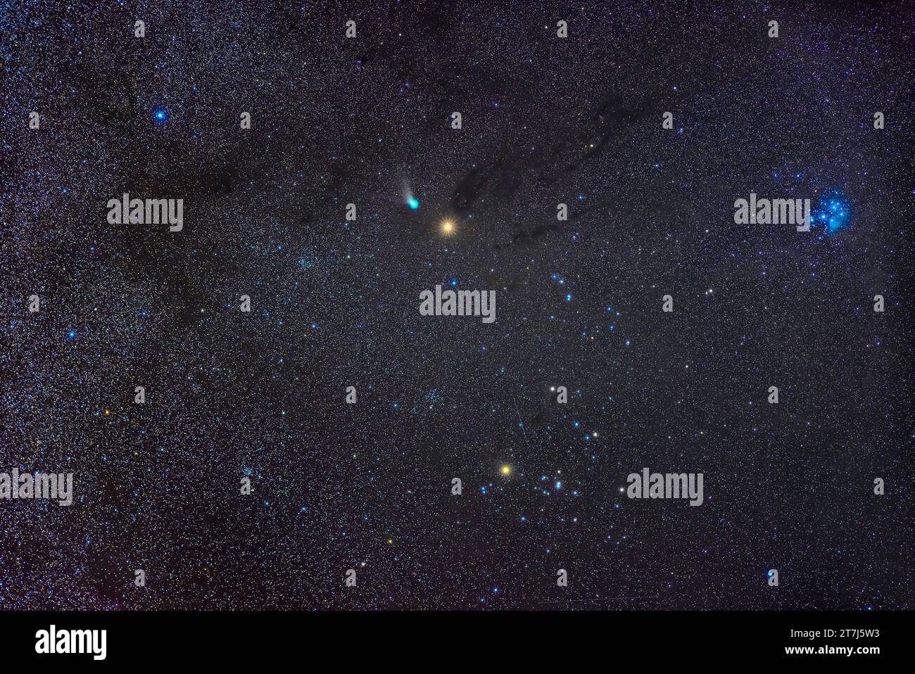Comet C/2022 E3 (ZTF) in the constellation of Taurus on the night of ...