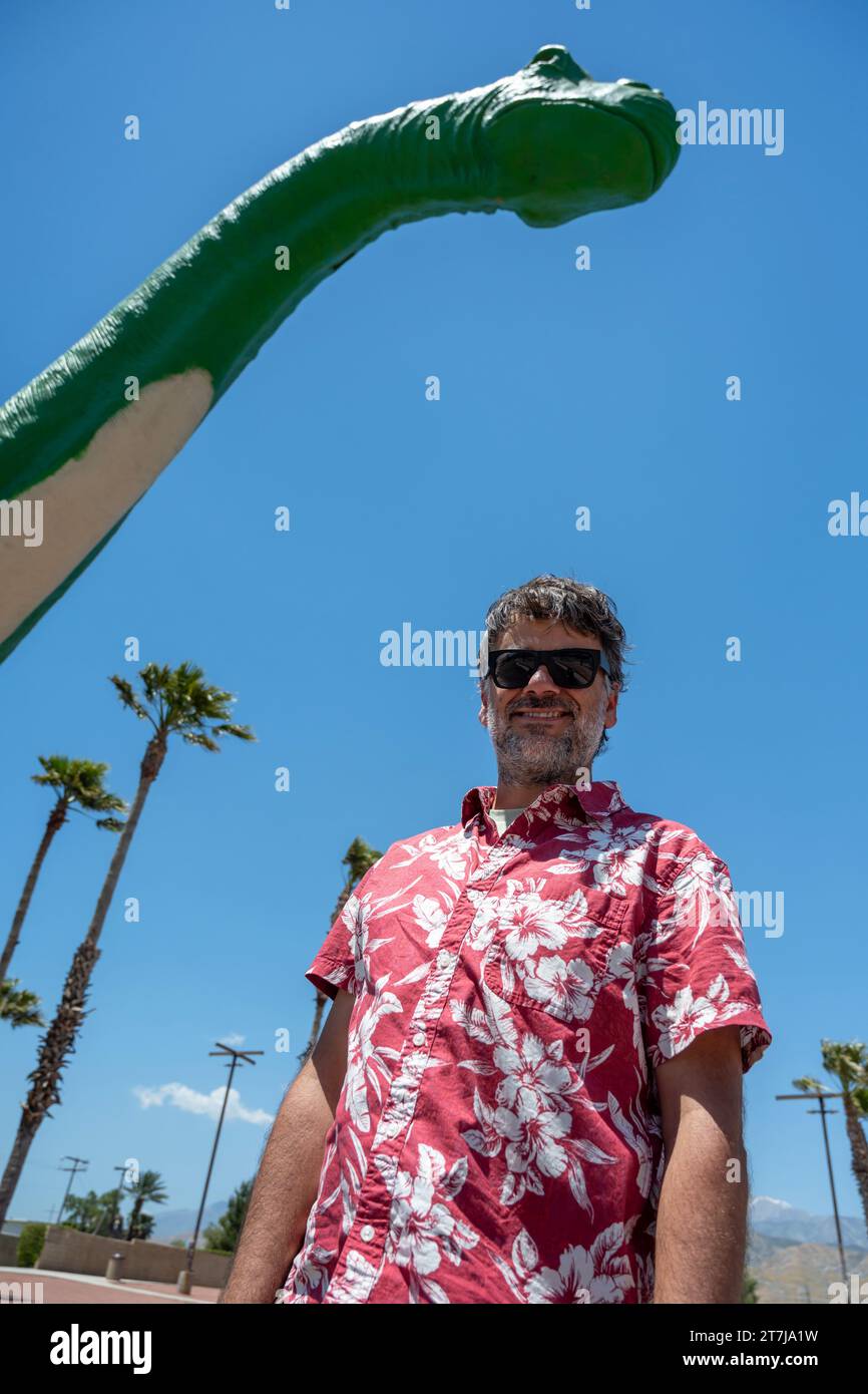 Bearded palm tree hi-res stock photography and images - Alamy