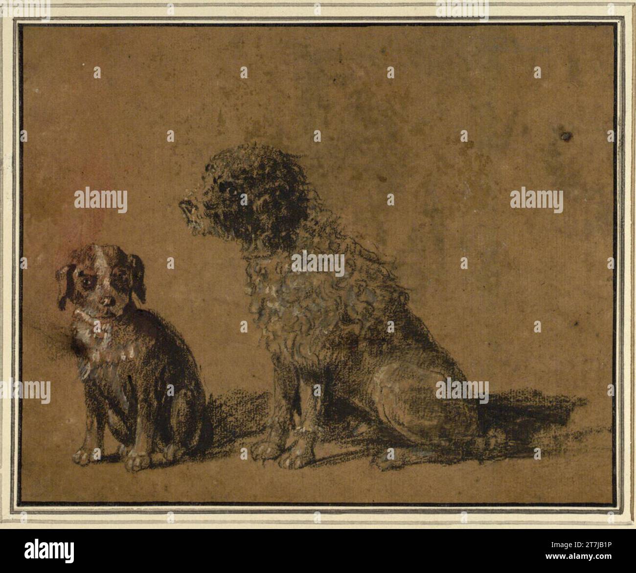 Anonym Study of a seated poodle and a smaller dog. Black chalk ...