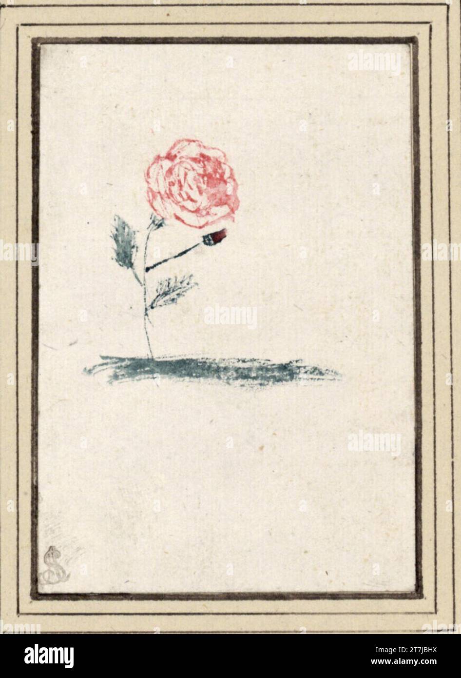 Kaiser Franz I. Stephan Rose. Watercolor Stock Photo - Alamy