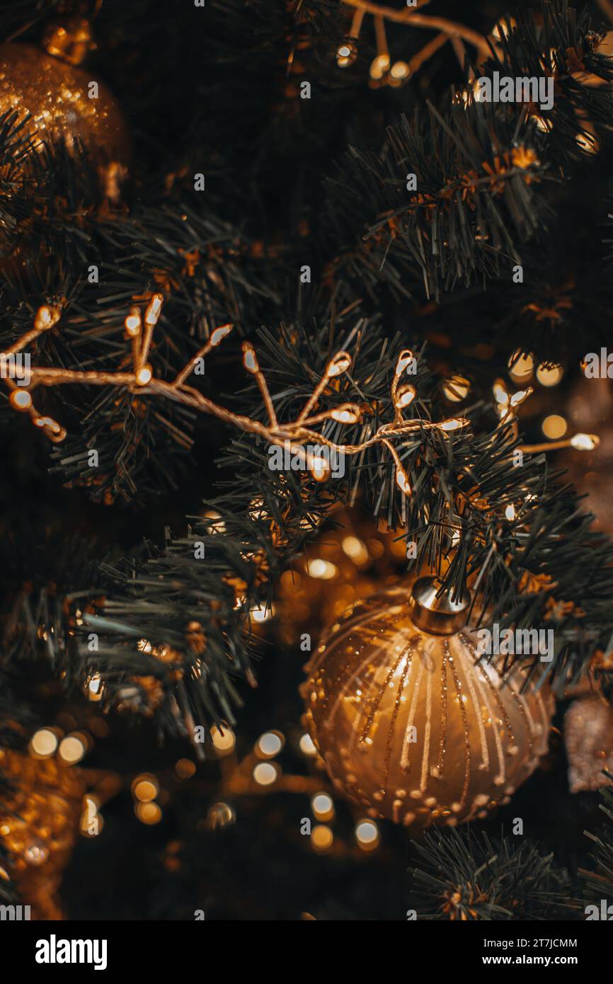 Winter holiday fairy garlands illumination and festive magic details in ...