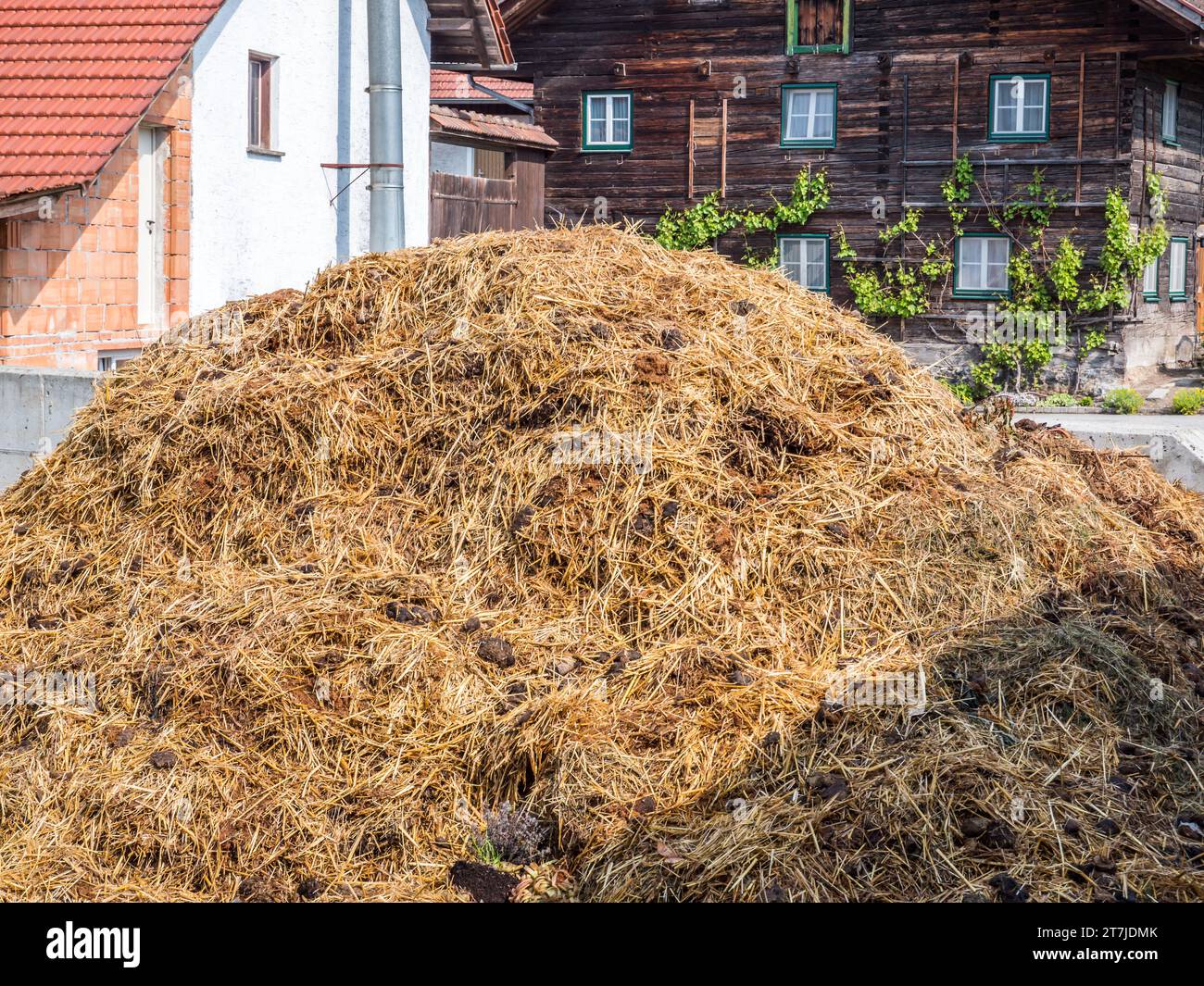 Pile of manure hi-res stock photography and images - Alamy