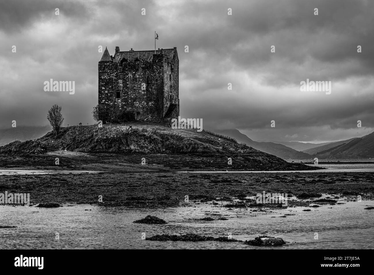 Castle Stalker, Scotland Stock Photo - Alamy