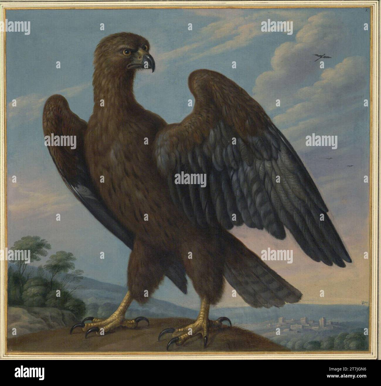 Johann Jakob Walther d. Ä. Aquila Chrysaetos, a noble eagle. ". Oil ...