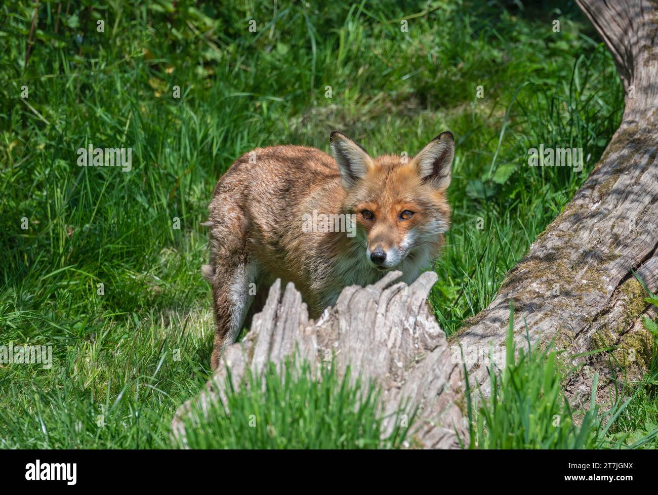 2022 bwc hi-res stock photography and images - Alamy