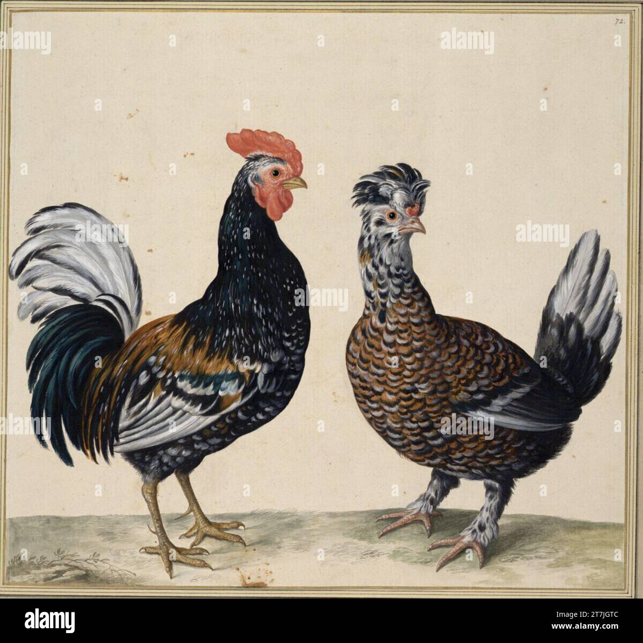 Johann jakob walther hi-res stock photography and images - Alamy