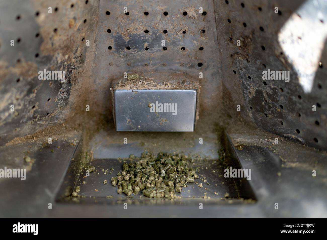 Alfalfa pellets sit in a GreenFeed machine waiting to be eaten by ...