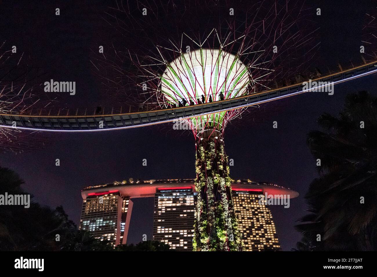 Visitors walk along an elevated path at next to "Supertrees" during a ...