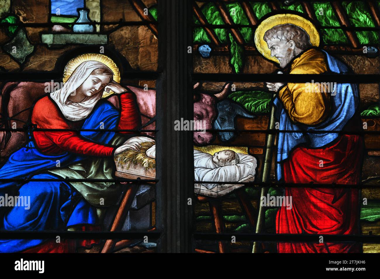 Stained glass with a scene of the birth of Jesus Christ in a church ...