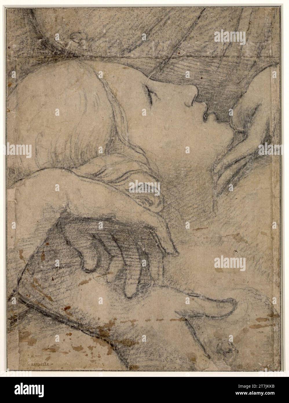 Giulio Romano Head of Venus in the hands of the Adonis (cardboard ...