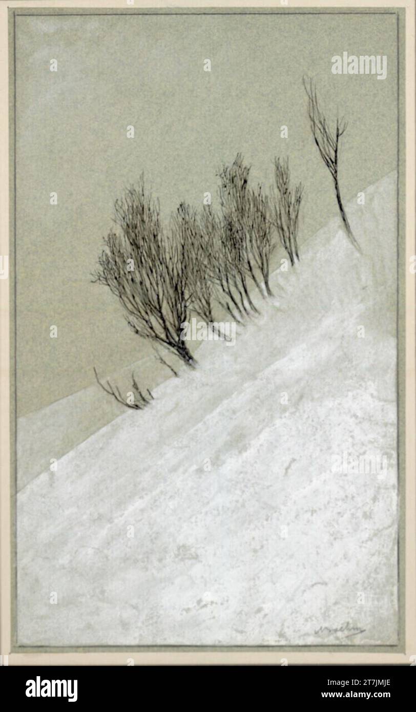 Adolf Böhm Slifting down slope with some defoliated trees. Feder in ...