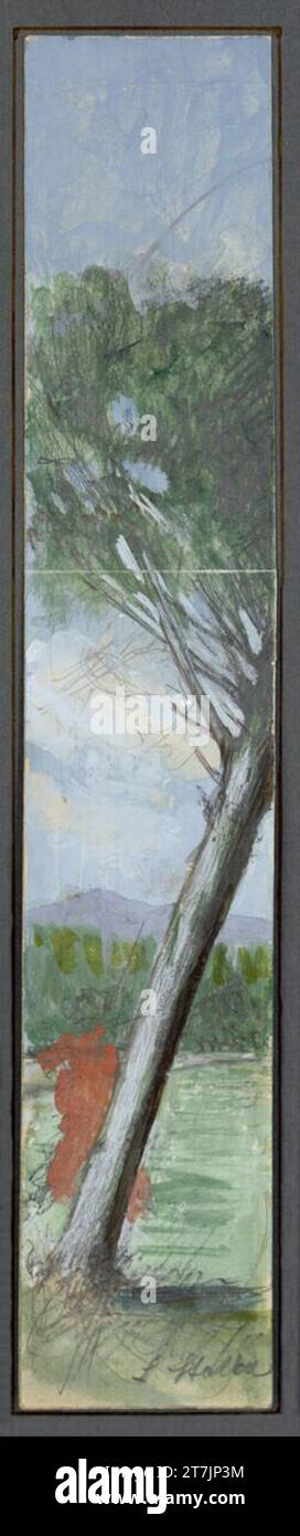 Leopold Stolba Föhre. Pencil, watercolor Stock Photo - Alamy