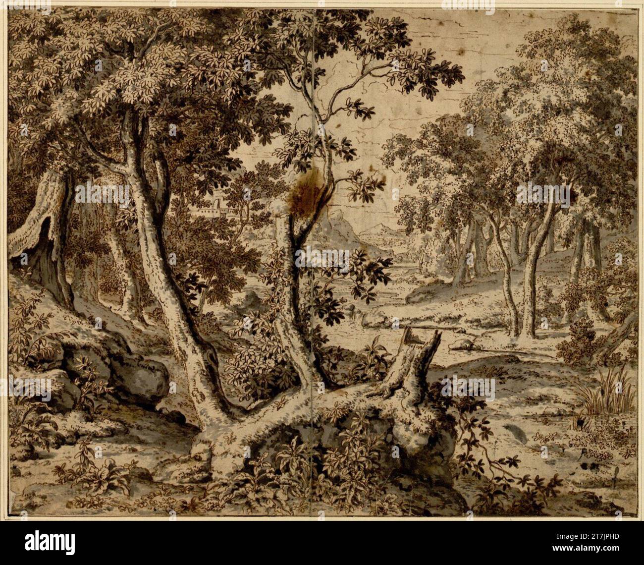 Anonym Forest landscape. Feather; gray lavated; In the middle ...