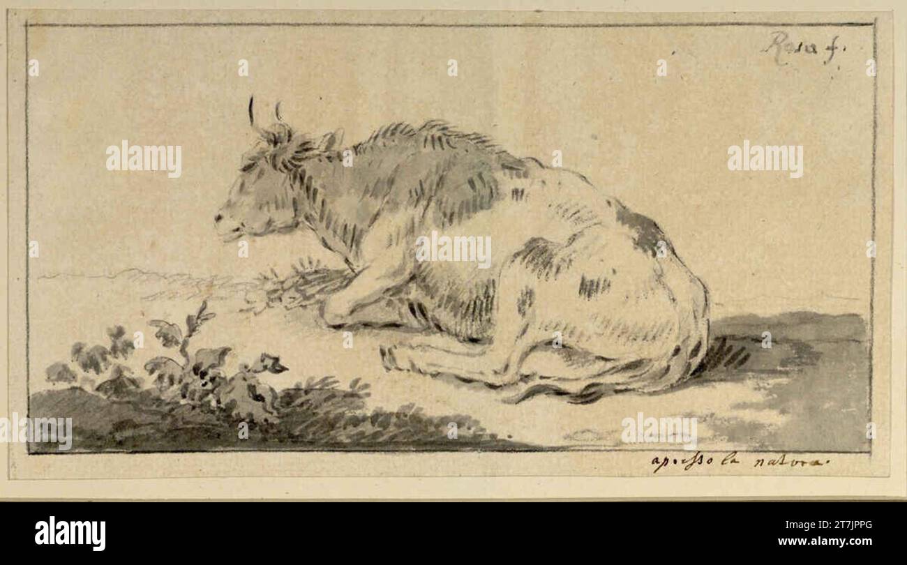 Joseph Rosa Lying beef (to the left). Chalk, brush in gray, laved Stock ...