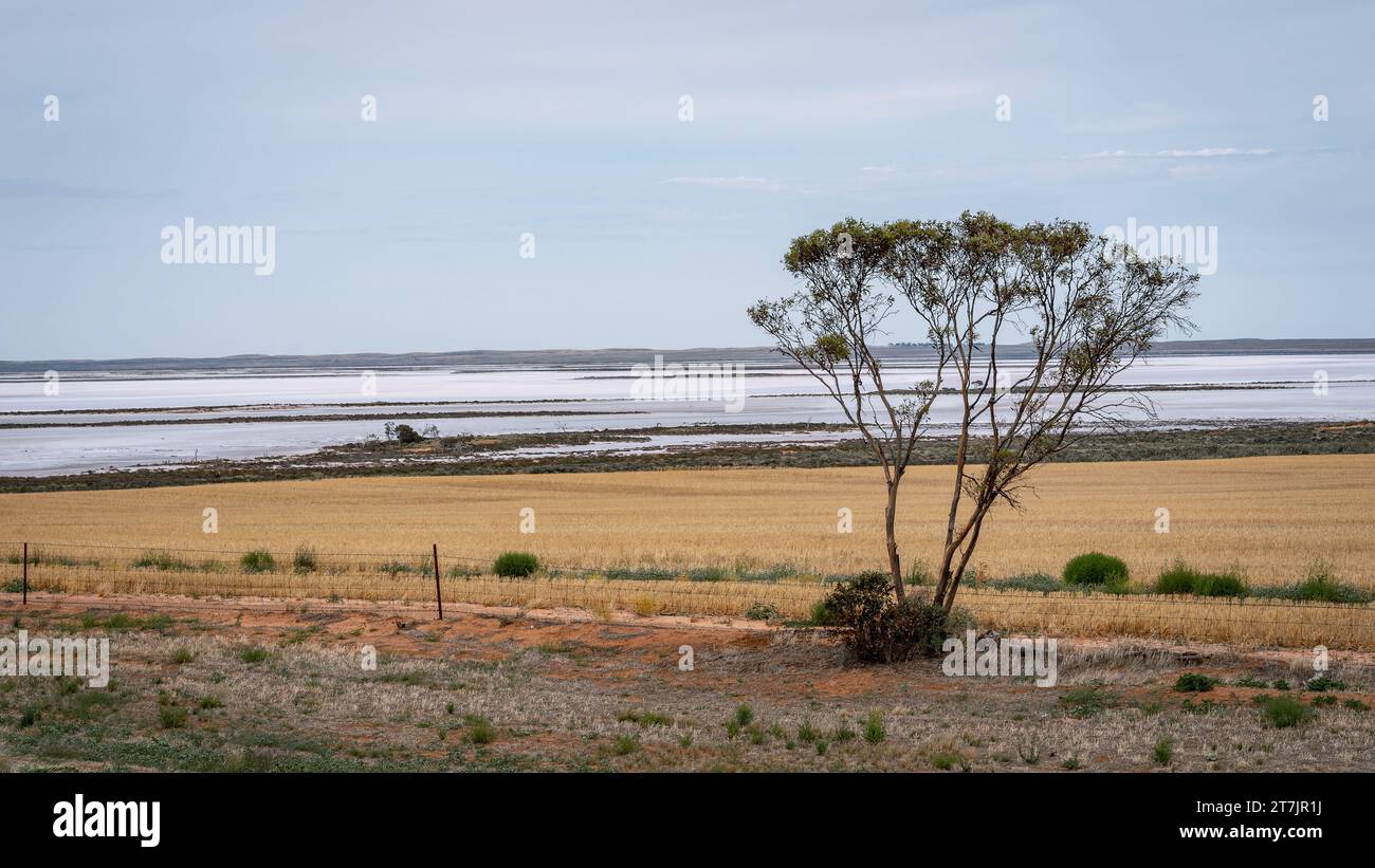 Lake Tyrrell in rural Victoria, Australia Stock Photo - Alamy