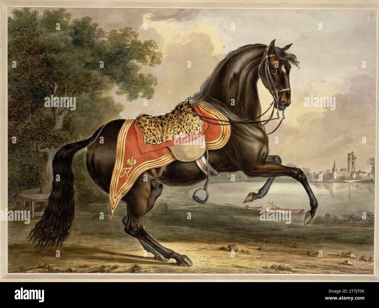 Lippizer hi-res stock photography and images - Alamy