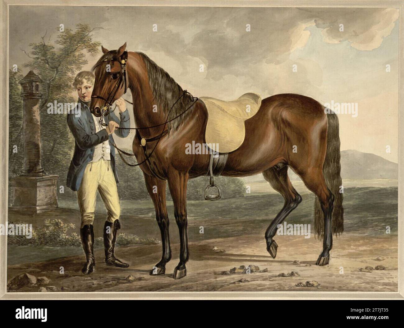 Johann Nepomuk Höchle Turek. Wallach from the Imperial Royal House Stud ...