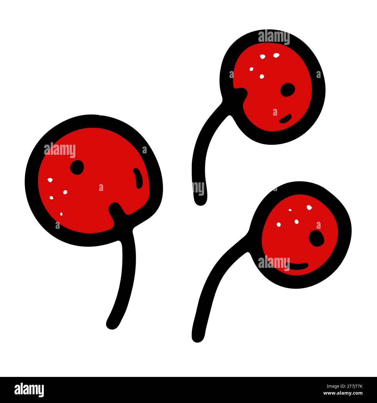 Doodle round berry. Hand-drawn red Rowan plant isolated on white ...