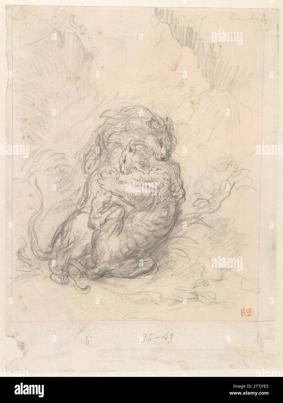 Eugène Delacroix Lion and Tiger in combat. Pencil, on a slightly foxed ...