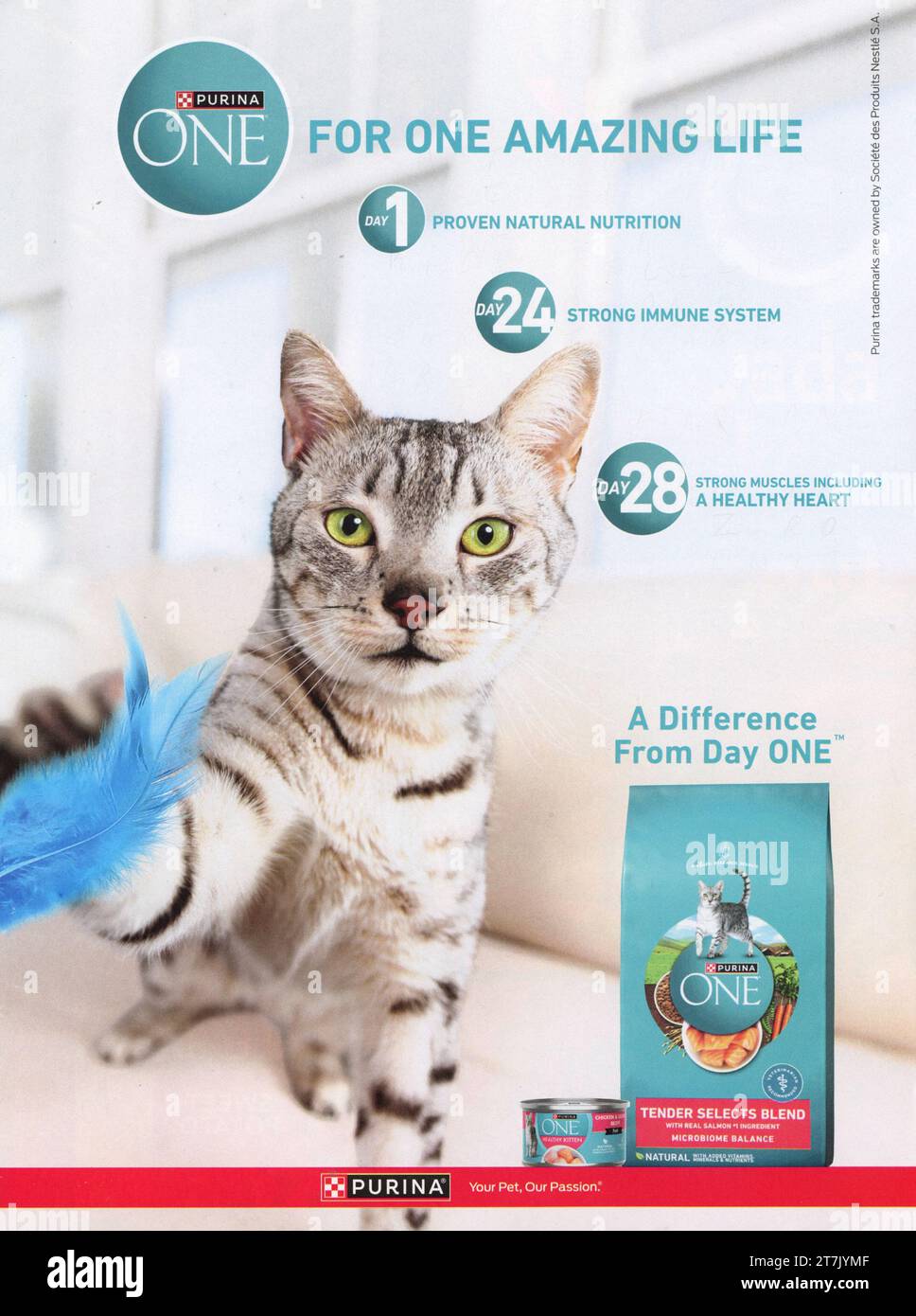 People Magazine 23 October 2023 Advert, USA Stock Photo - Alamy