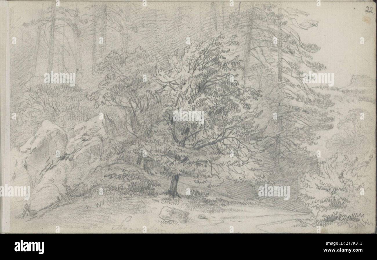 Joseph Holzer A forest path near Stixenstein. Pencil Stock Photo - Alamy