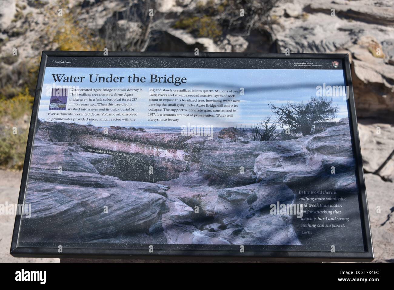 Petrified Forest National Park. AZ. USA. 10/17/2023. Agate Bridge ...