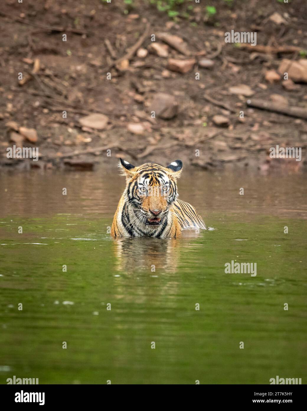 Reser natural hi-res stock photography and images - Alamy