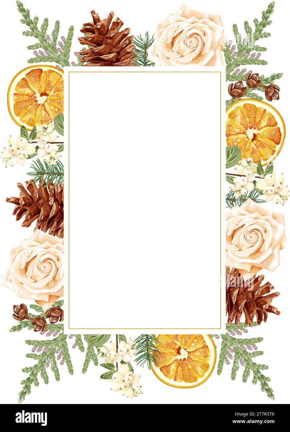 Christmas frame with rose flower, dried orange, fir, pinecone, cinnamon ...