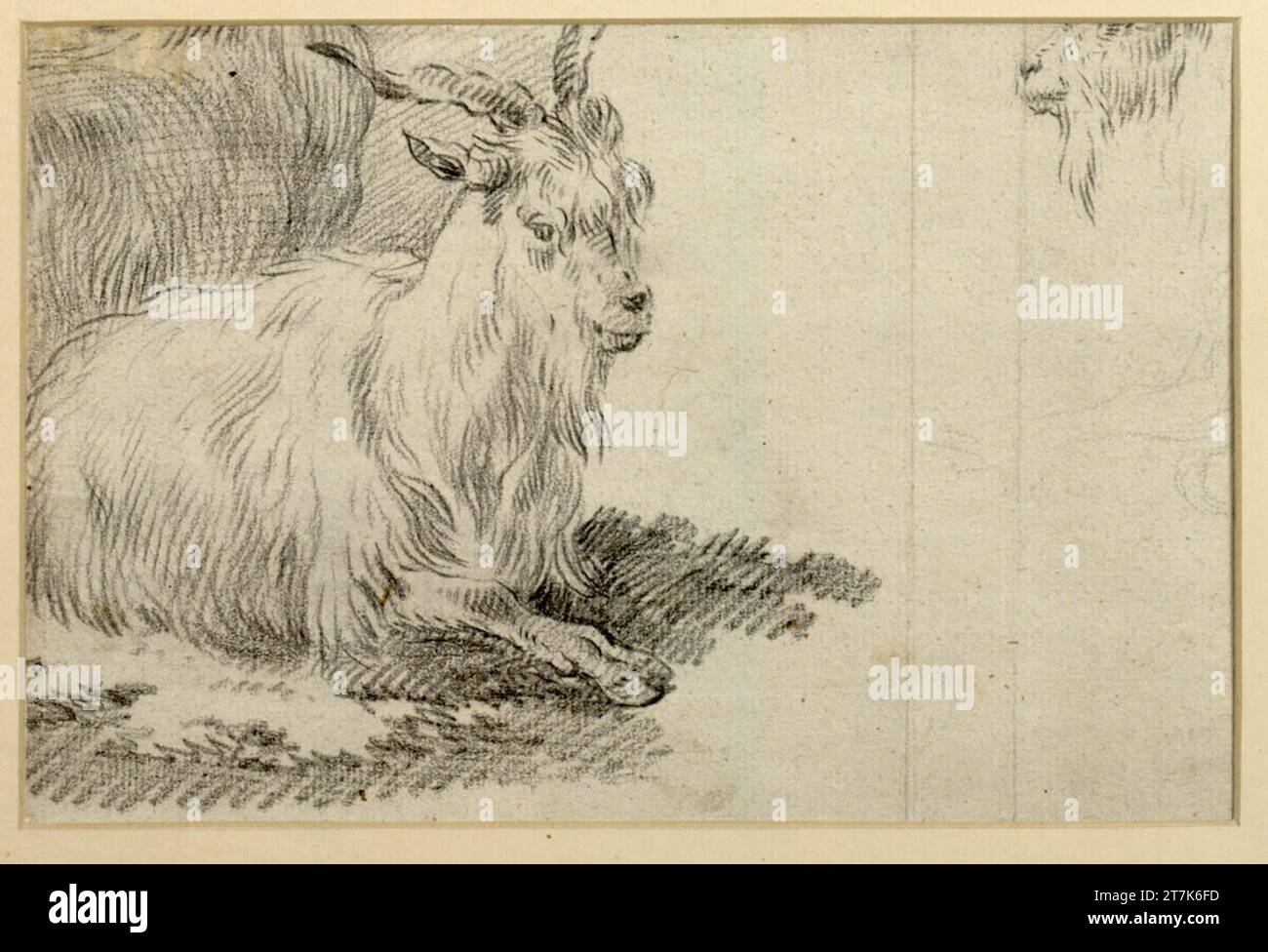 Joseph Rosa Lying billy goat (goat head study). Stone 1760 , 1760 Stock ...